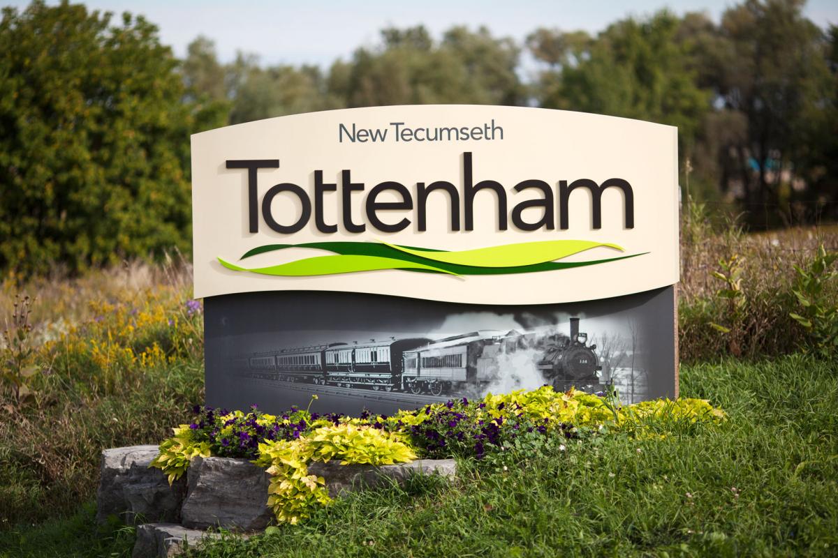 Pest Control Tottenham | Pest Kings Wildlife Removal And Pest Extermination